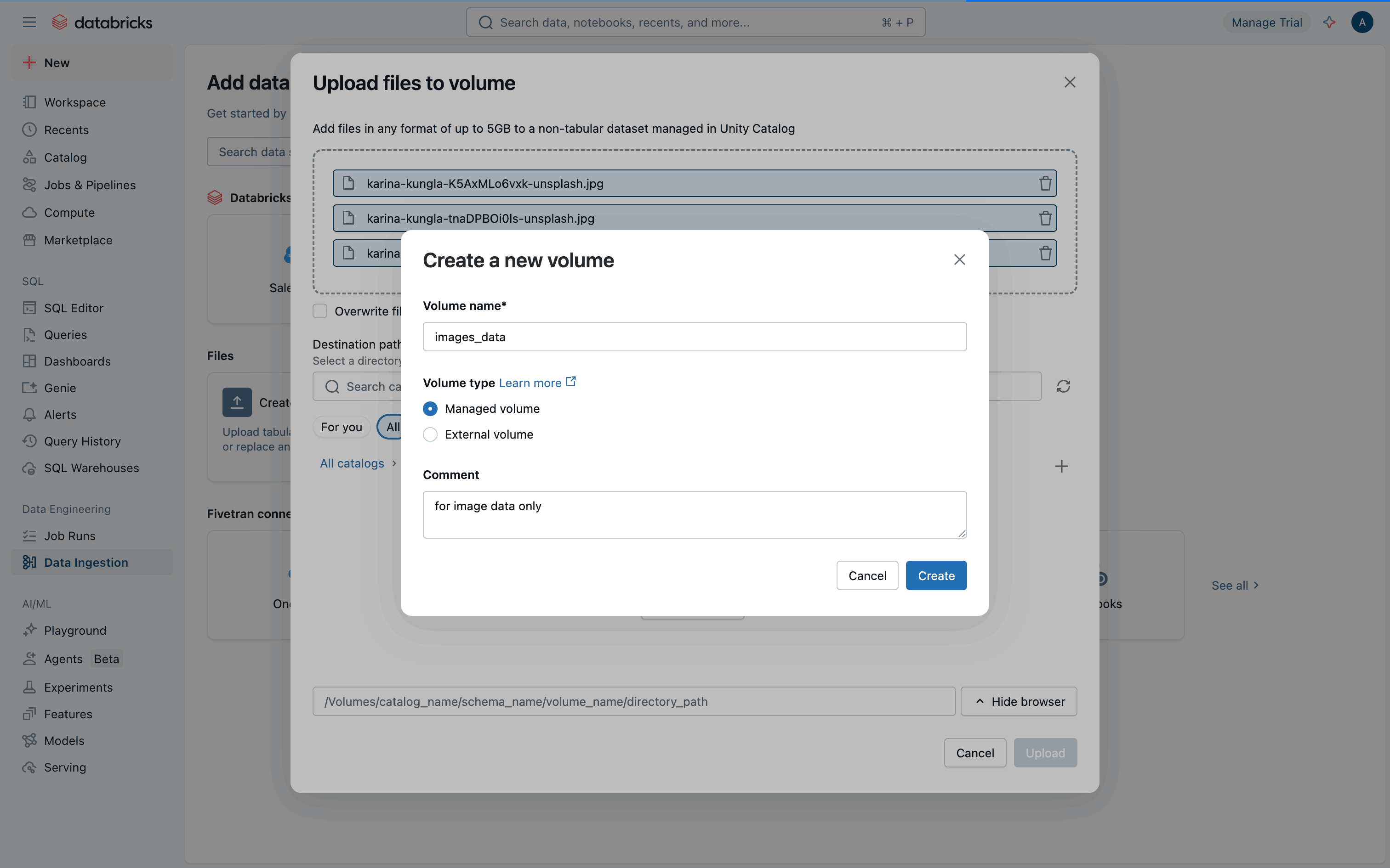 Databricks Web Volume Details Input | Mobbin